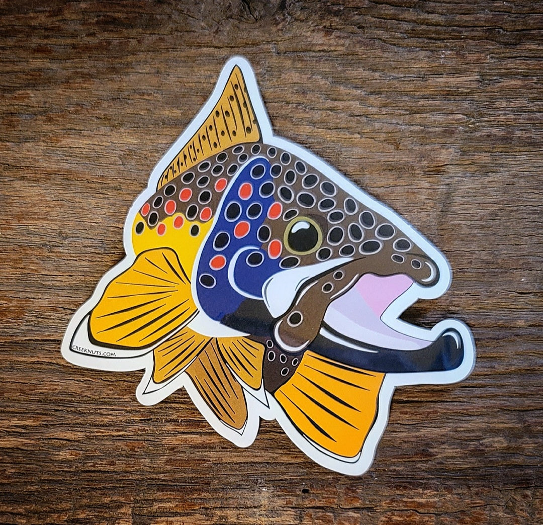 Brown Trout Stickers – My Store